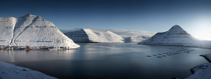 Bakkafrost • Superior Salmon from the Faroe Islands and Scotland