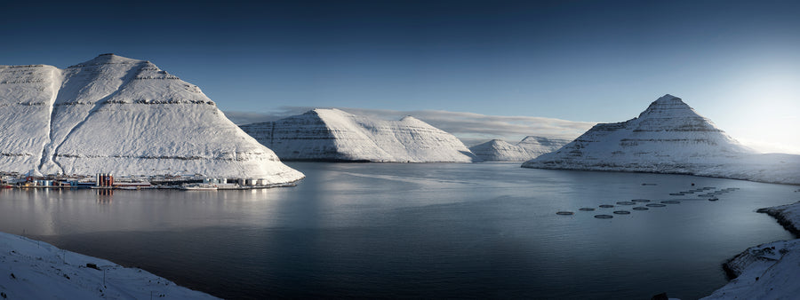 Bakkafrost • Superior Salmon from the Faroe Islands and Scotland