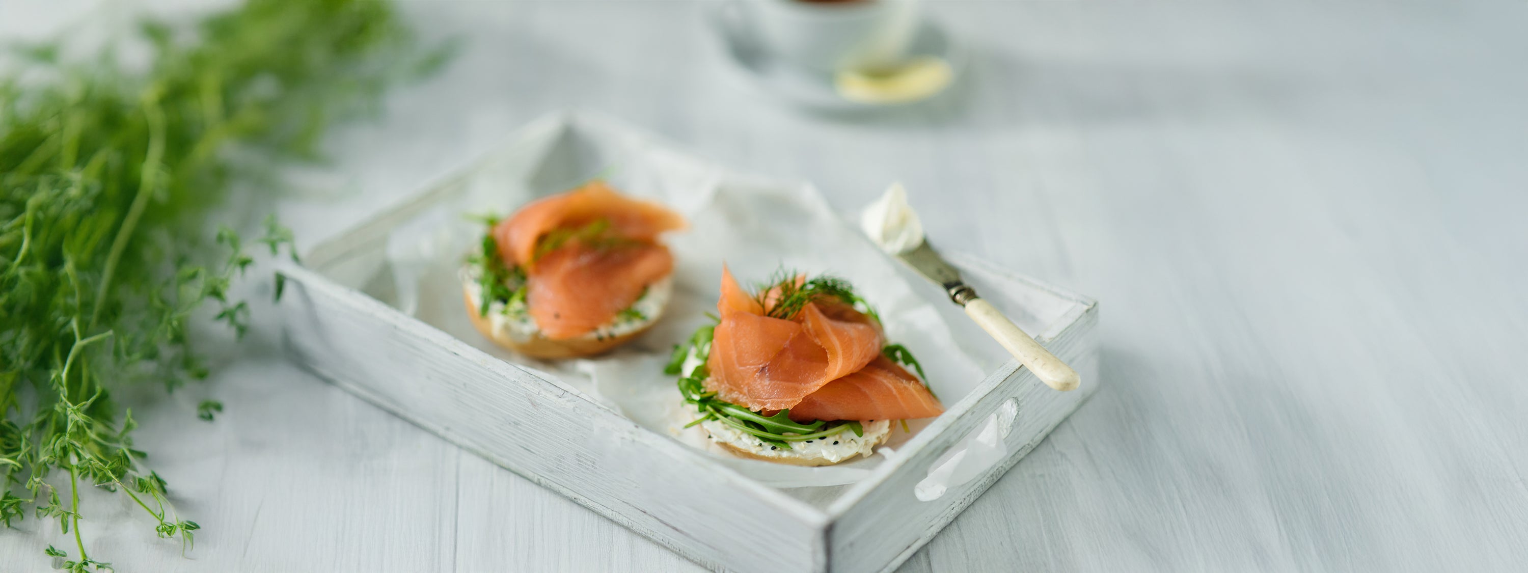 Bakkafrost • Superior Salmon from the Faroe Islands and Scotland