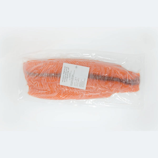 Frozen Salmon Fillet